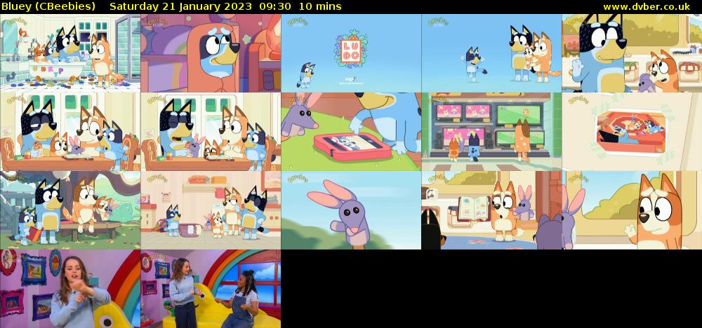 Bluey (CBeebies) - 2023-01-21-0930 Bluey (CBeebies) - 2023-01-21-0930