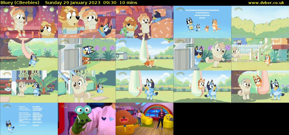 Bluey (CBeebies) - 2023-01-29-0930 Bluey (CBeebies) - 2023-01-29-0930