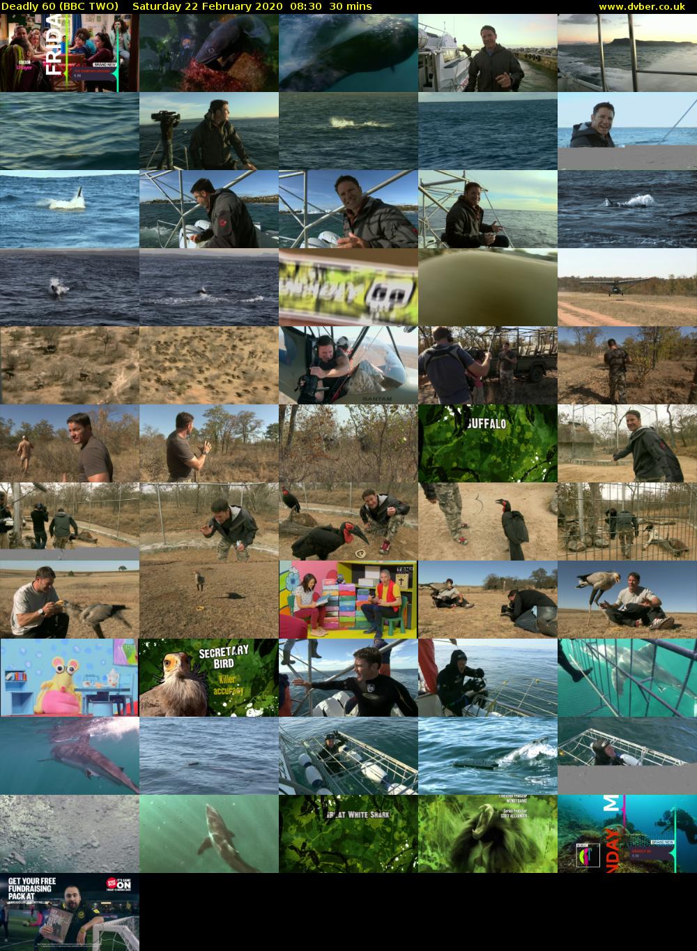 Deadly 60 (BBC TWO HD) - 2020-02-22-0830