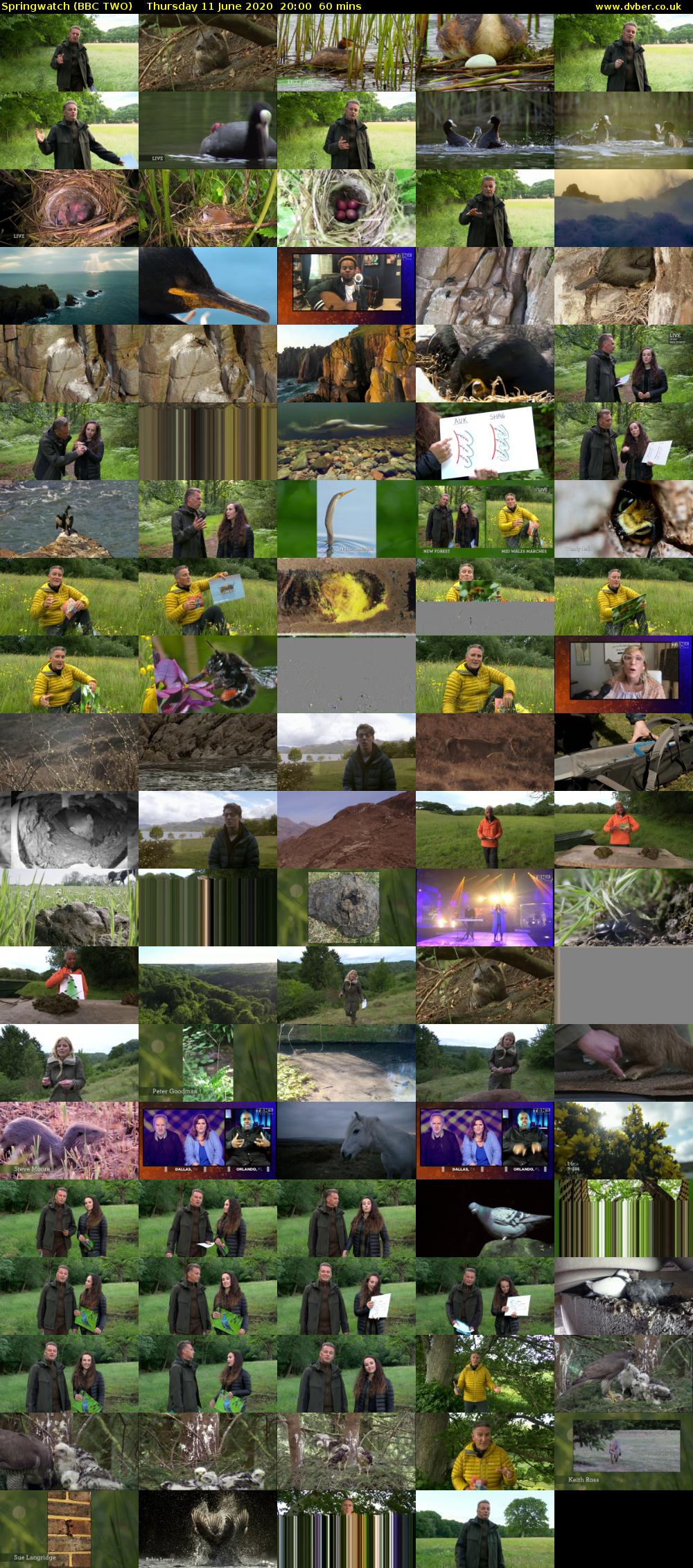 Springwatch (BBC TWO HD) - 2020-06-11-2000