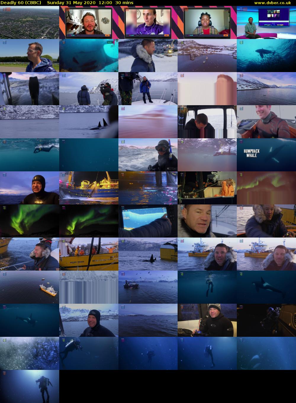 Deadly 60 (CBBC HD) - 2020-05-31-1200
