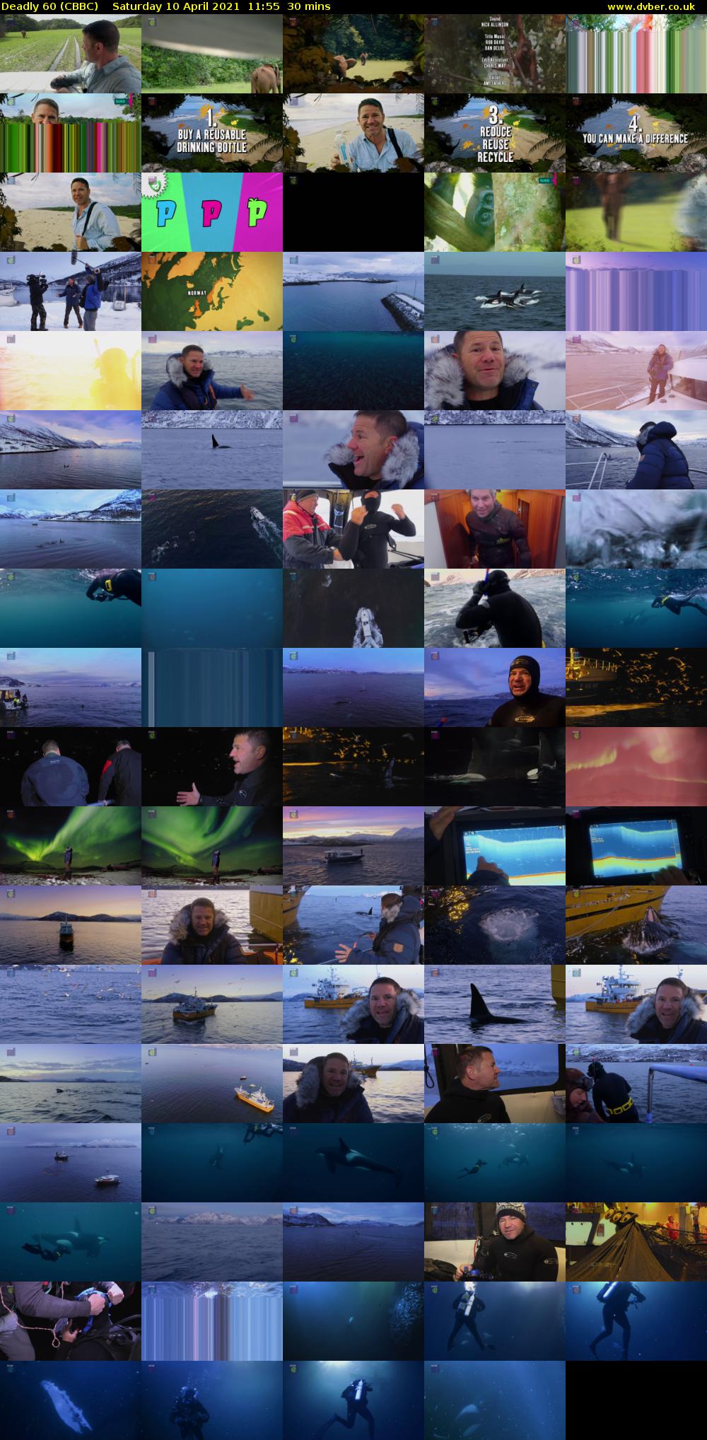 Deadly 60 (CBBC HD) - 2021-04-10-1155