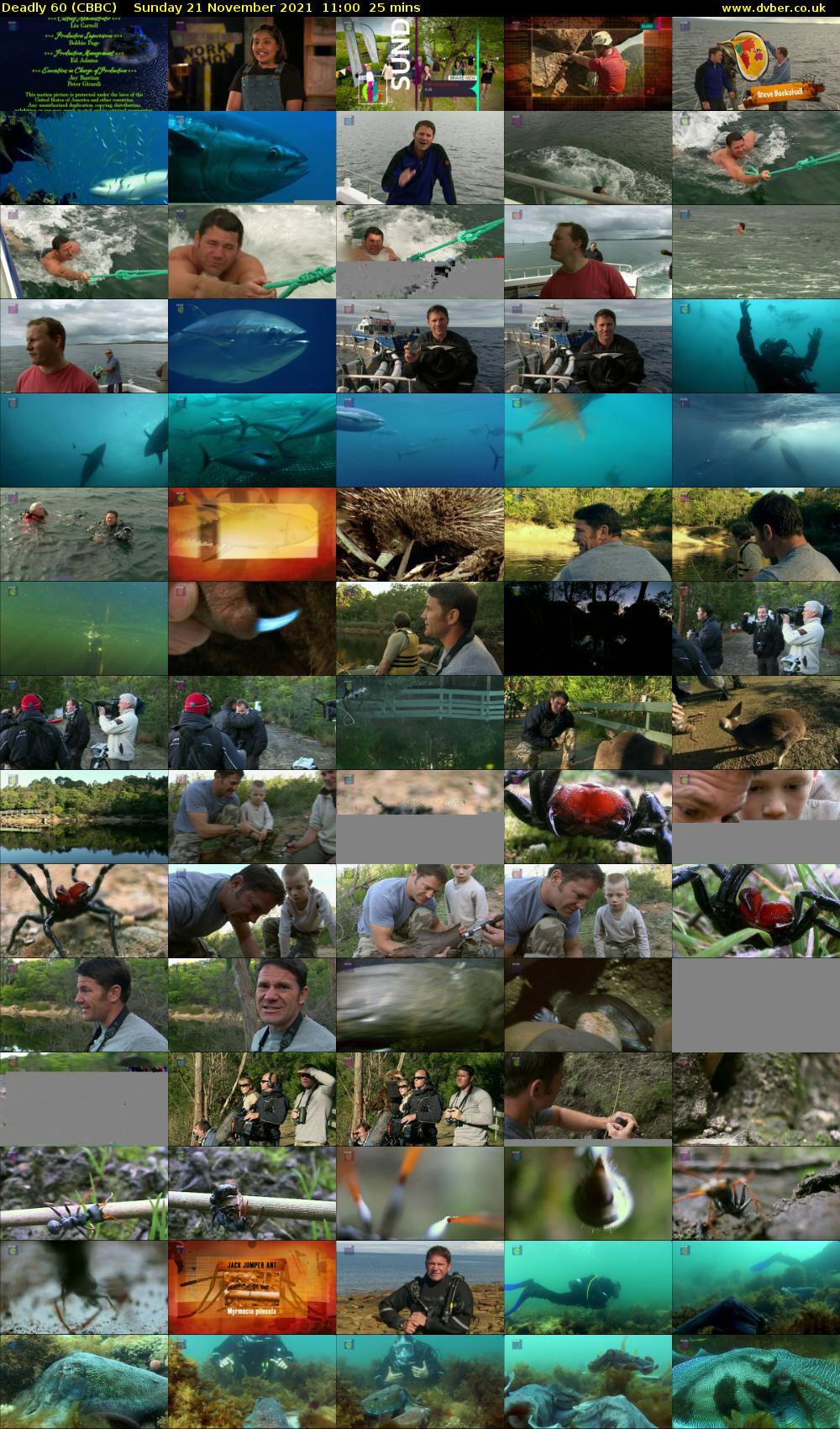 Deadly 60 (CBBC HD) - 2021-11-21-1100