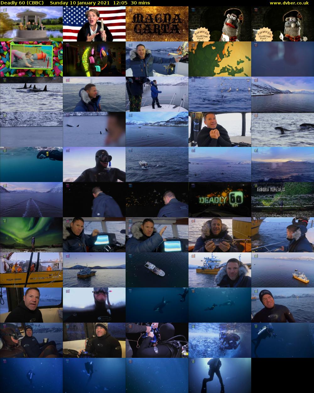 Deadly 60 (CBBC) - 2021-01-10-1205