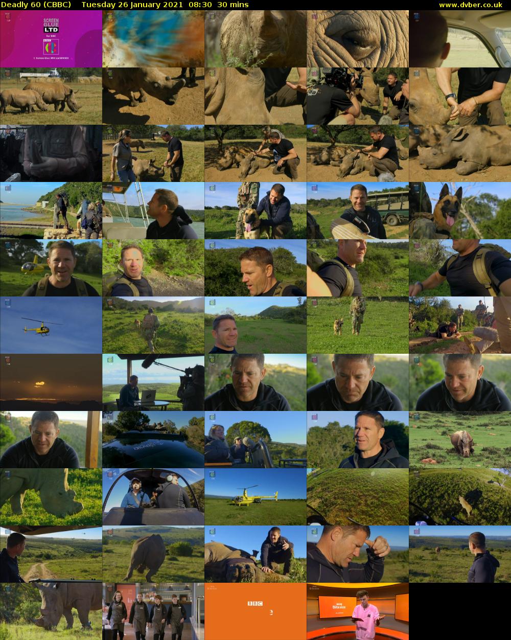 Deadly 60 (CBBC) - 2021-01-26-0830