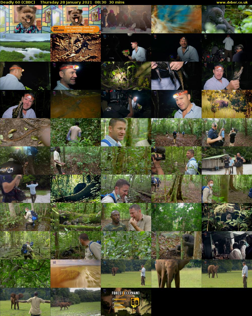 Deadly 60 (CBBC) - 2021-01-28-0830