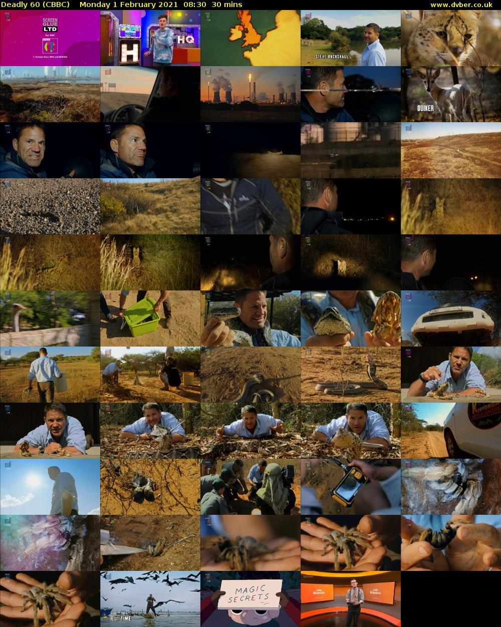 Deadly 60 (CBBC) - 2021-02-01-0830