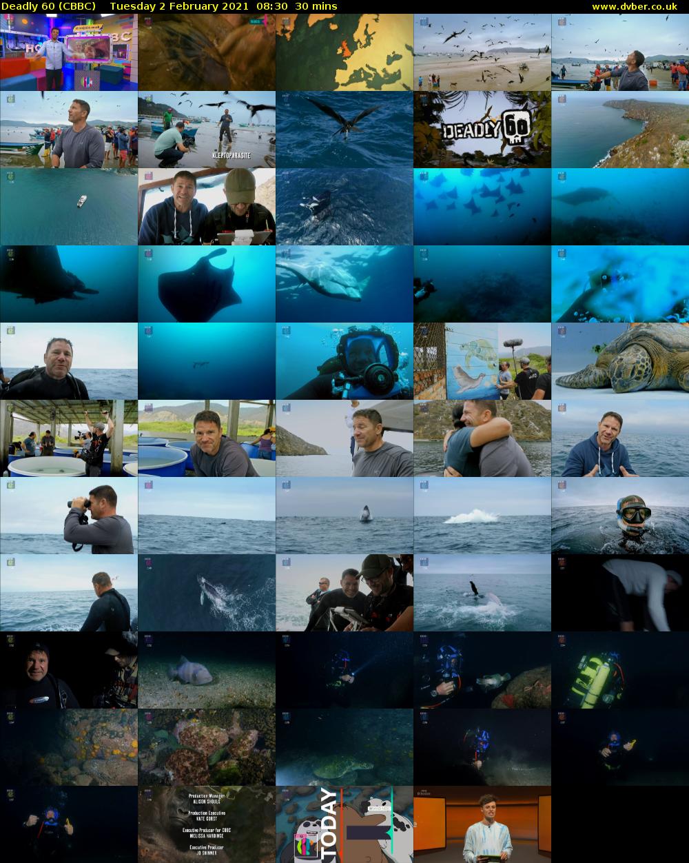 Deadly 60 (CBBC) - 2021-02-02-0830