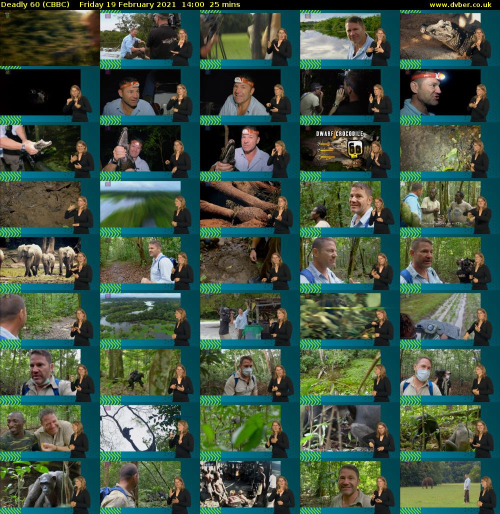 Deadly 60 (CBBC) - 2021-02-19-1400