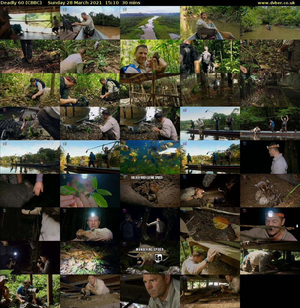 Deadly 60 (CBBC) - 2021-03-28-1510