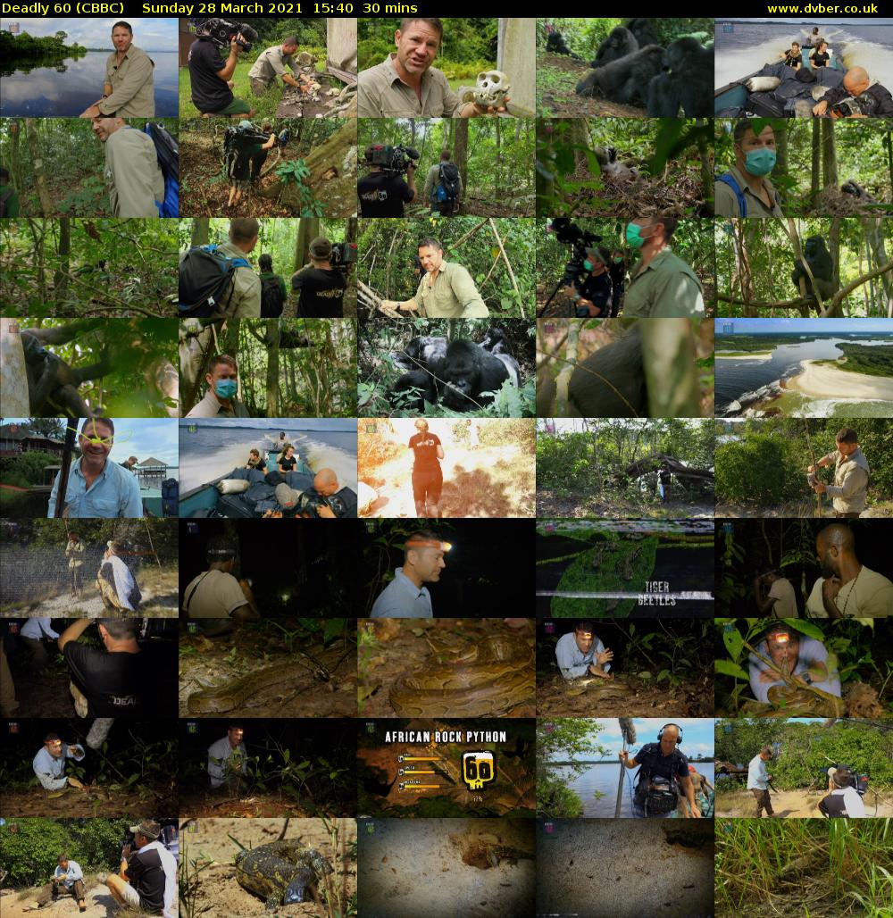 Deadly 60 (CBBC) - 2021-03-28-1540