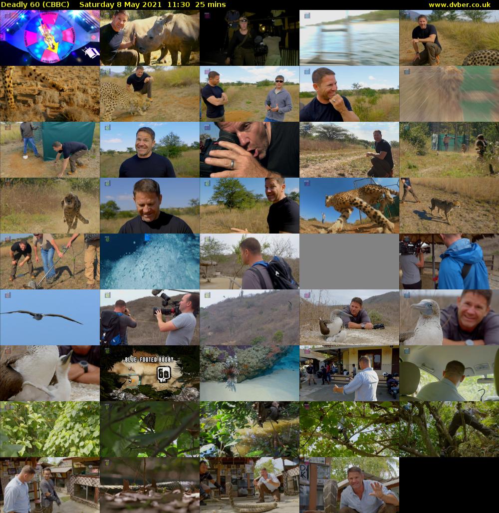 Deadly 60 (CBBC) - 2021-05-08-1130