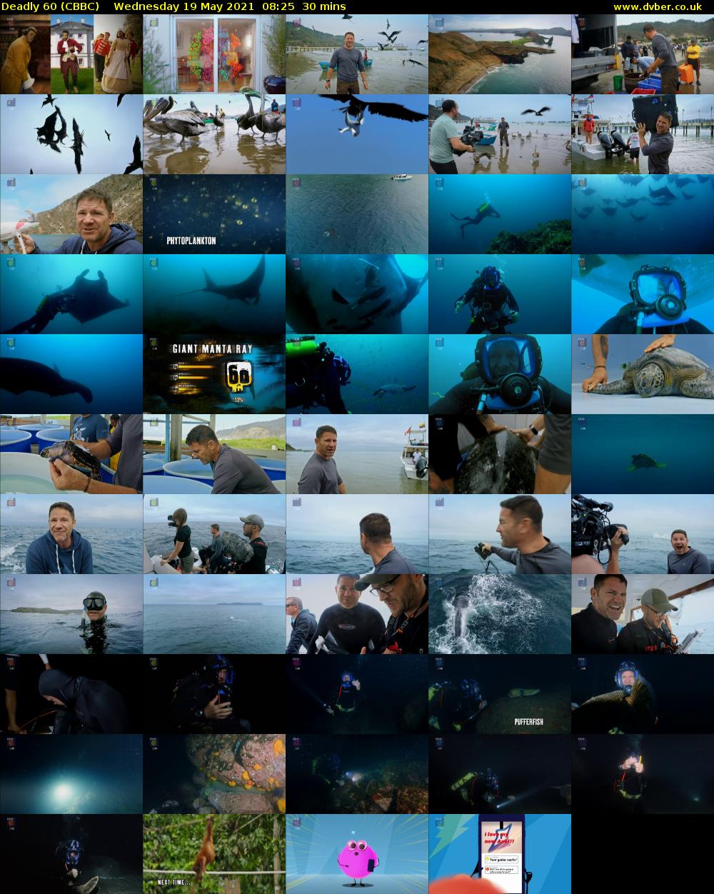 Deadly 60 (CBBC) - 2021-05-19-0825