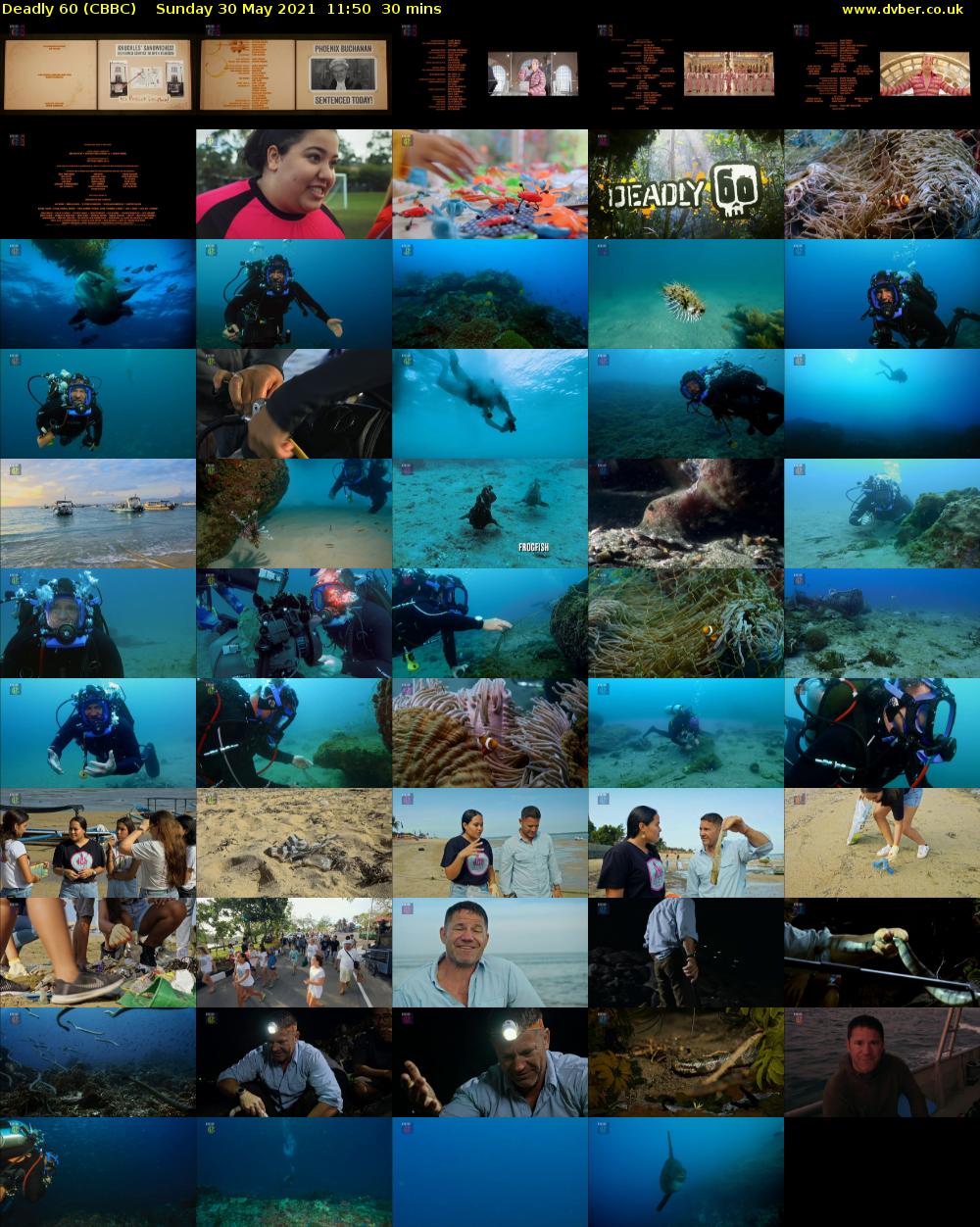 Deadly 60 (CBBC) - 2021-05-30-1150