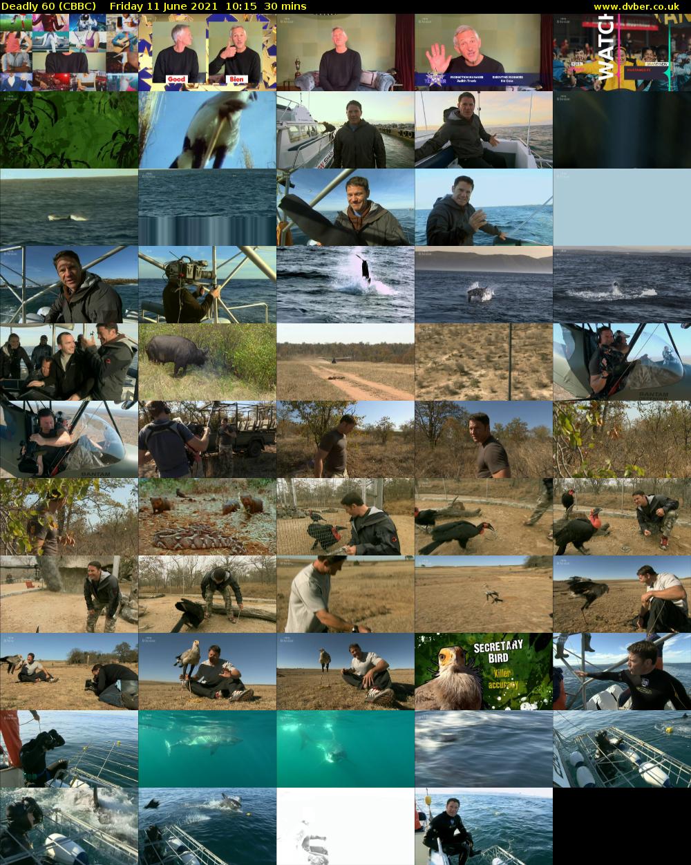 Deadly 60 (CBBC) - 2021-06-11-1015