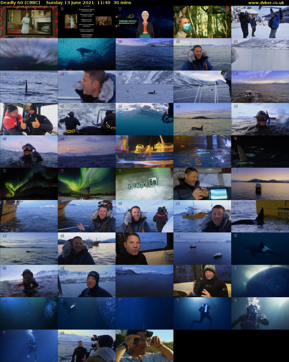 Deadly 60 (CBBC) - 2021-06-13-1140