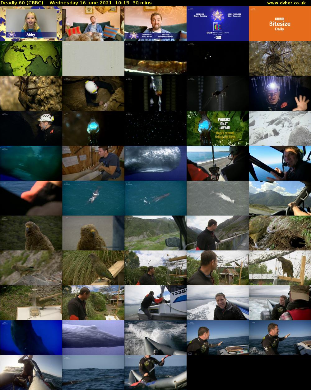 Deadly 60 (CBBC) - 2021-06-16-1015