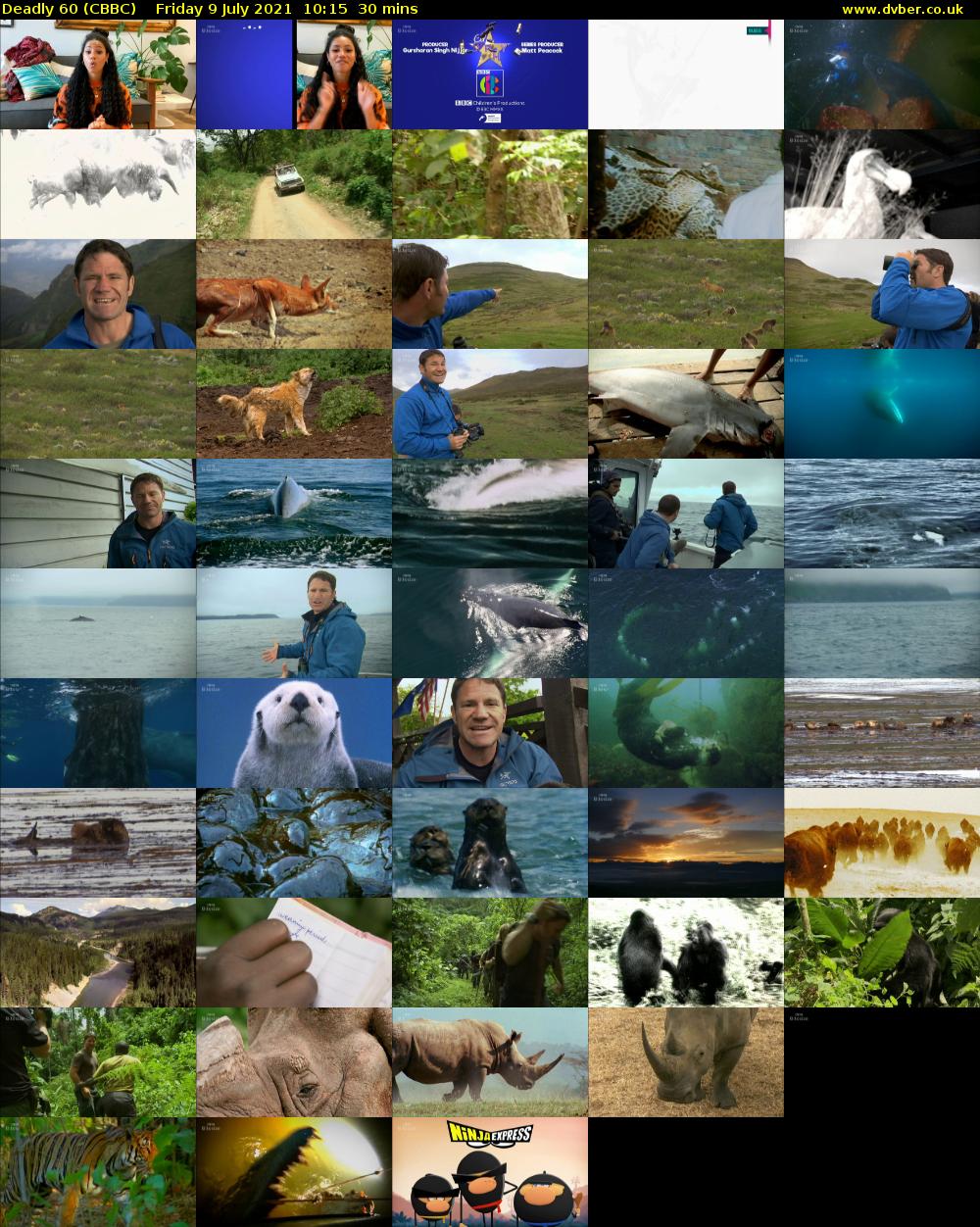 Deadly 60 (CBBC) - 2021-07-09-1015