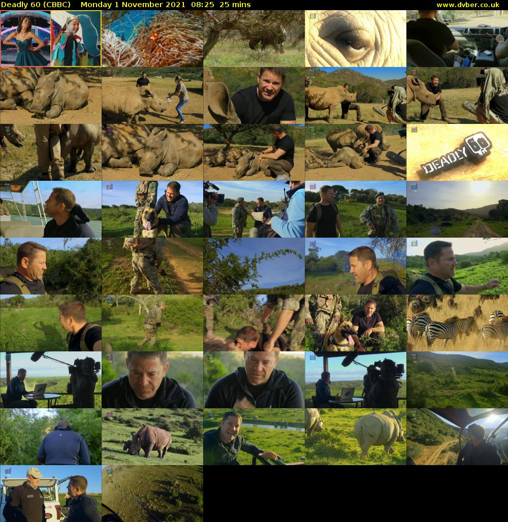Deadly 60 (CBBC) - 2021-11-01-0825