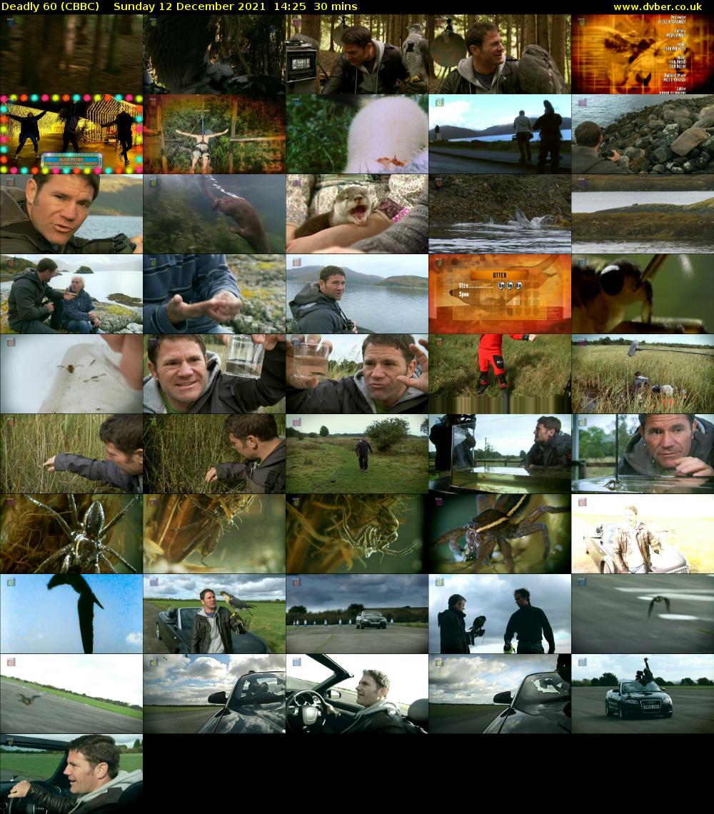 Deadly 60 (CBBC) - 2021-12-12-1425