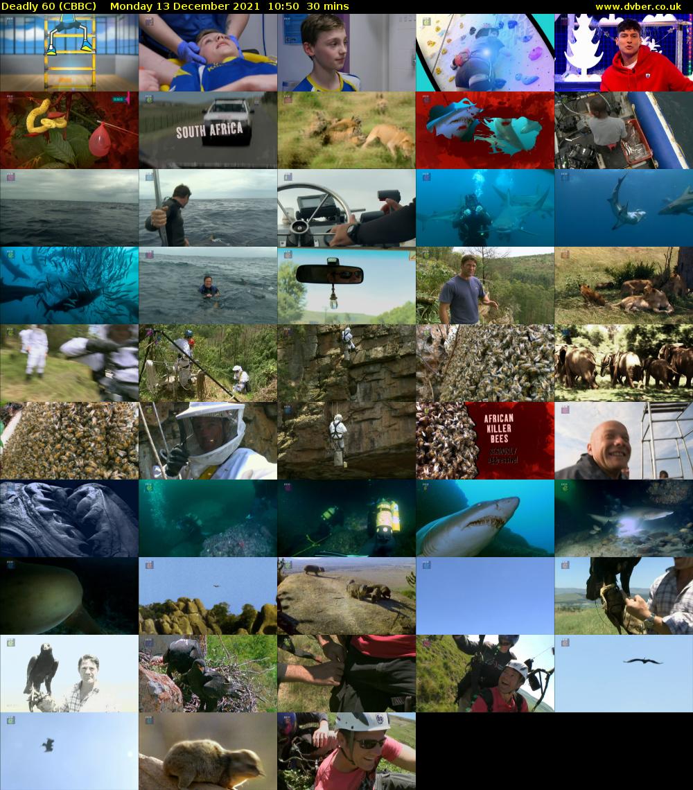 Deadly 60 (CBBC) - 2021-12-13-1050