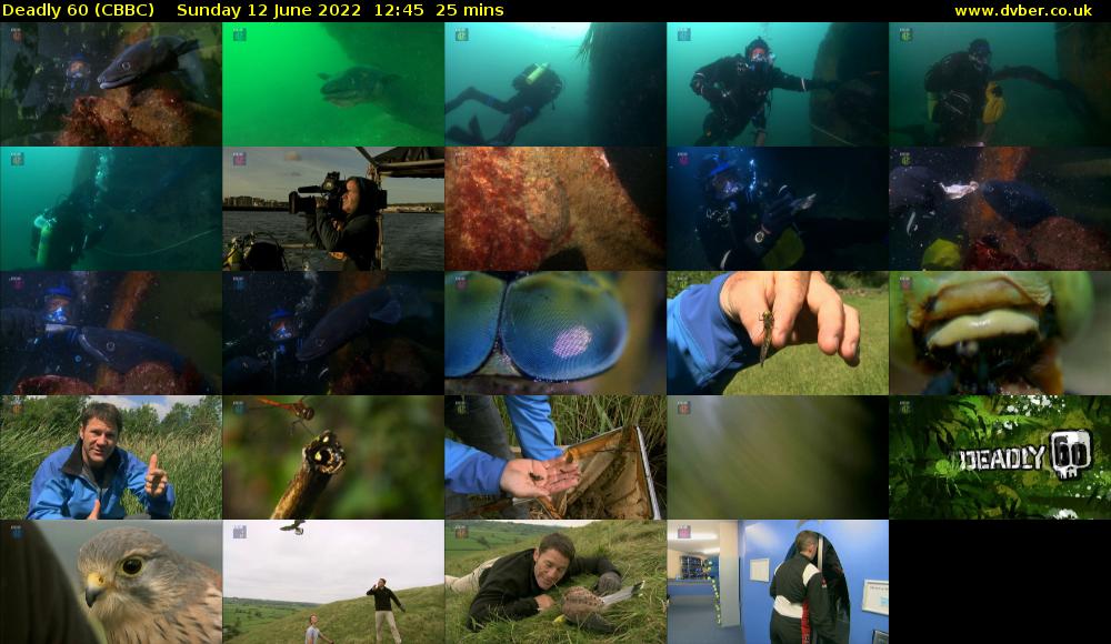 Deadly 60 (CBBC) - 2022-06-12-1245