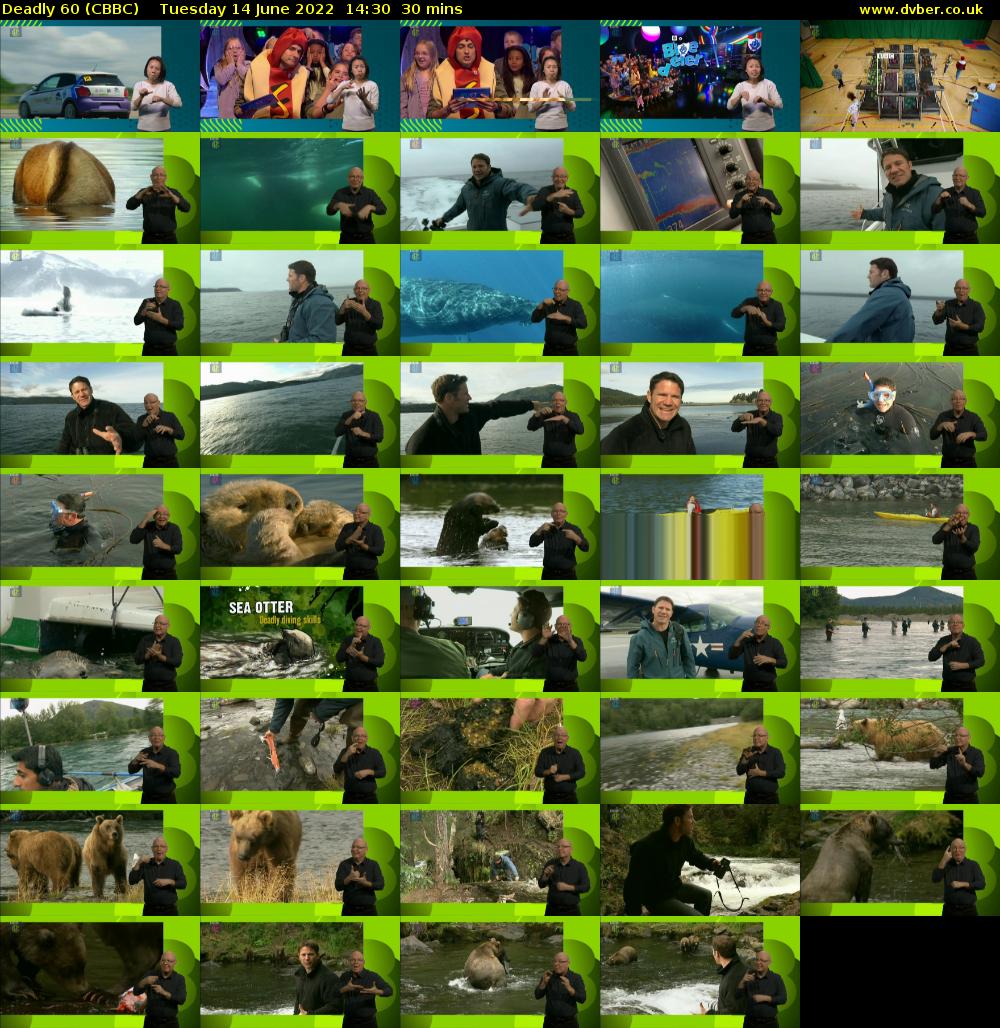 Deadly 60 (CBBC) - 2022-06-14-1430