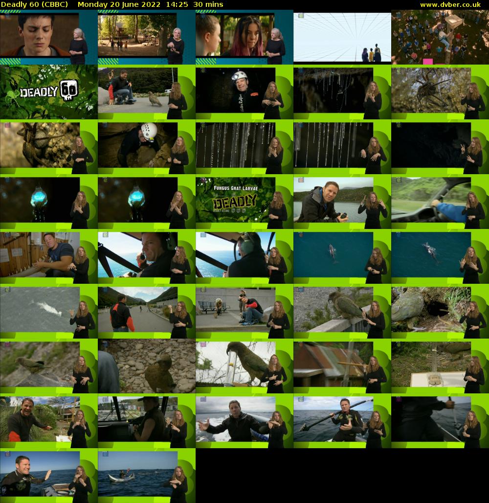 Deadly 60 (CBBC) - 2022-06-20-1425