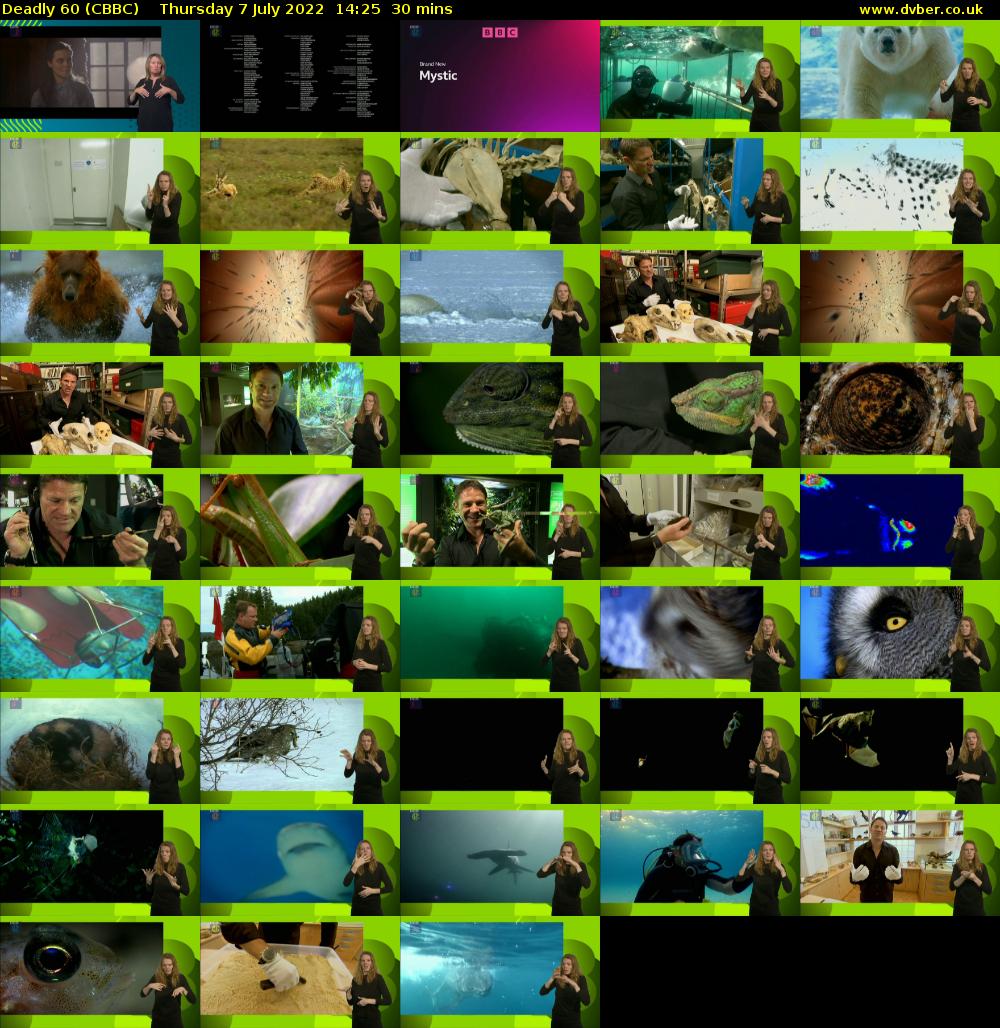 Deadly 60 (CBBC) - 2022-07-07-1425