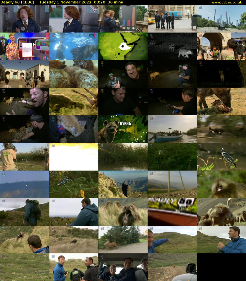 Deadly 60 (CBBC) - 2022-11-01-0820