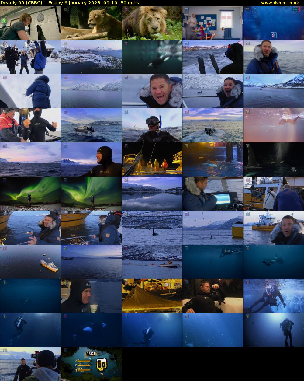 Deadly 60 (CBBC) - 2023-01-06-0910