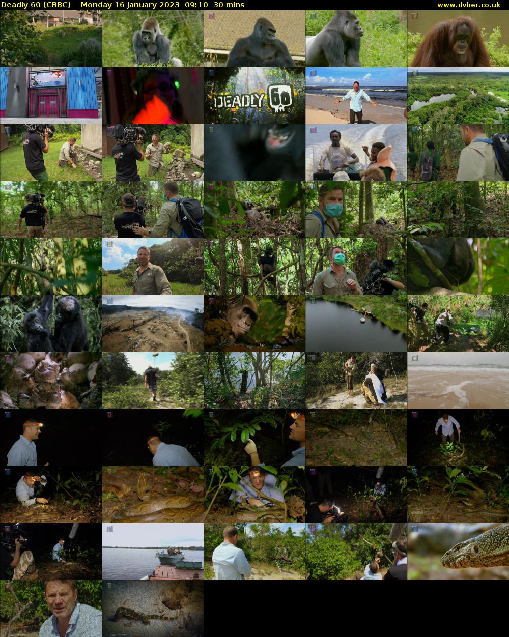 Deadly 60 (CBBC) - 2023-01-16-0910