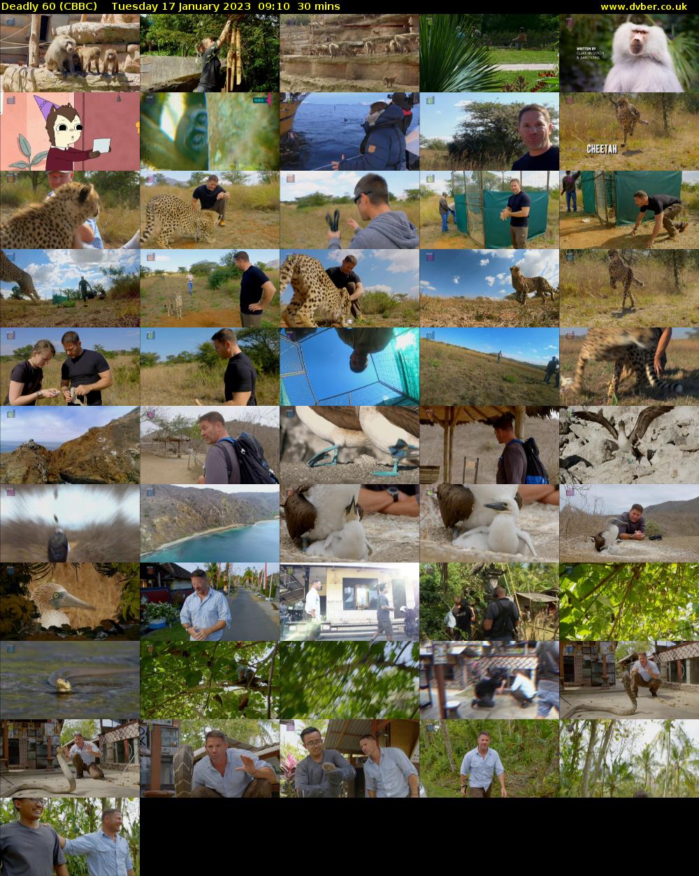 Deadly 60 (CBBC) - 2023-01-17-0910