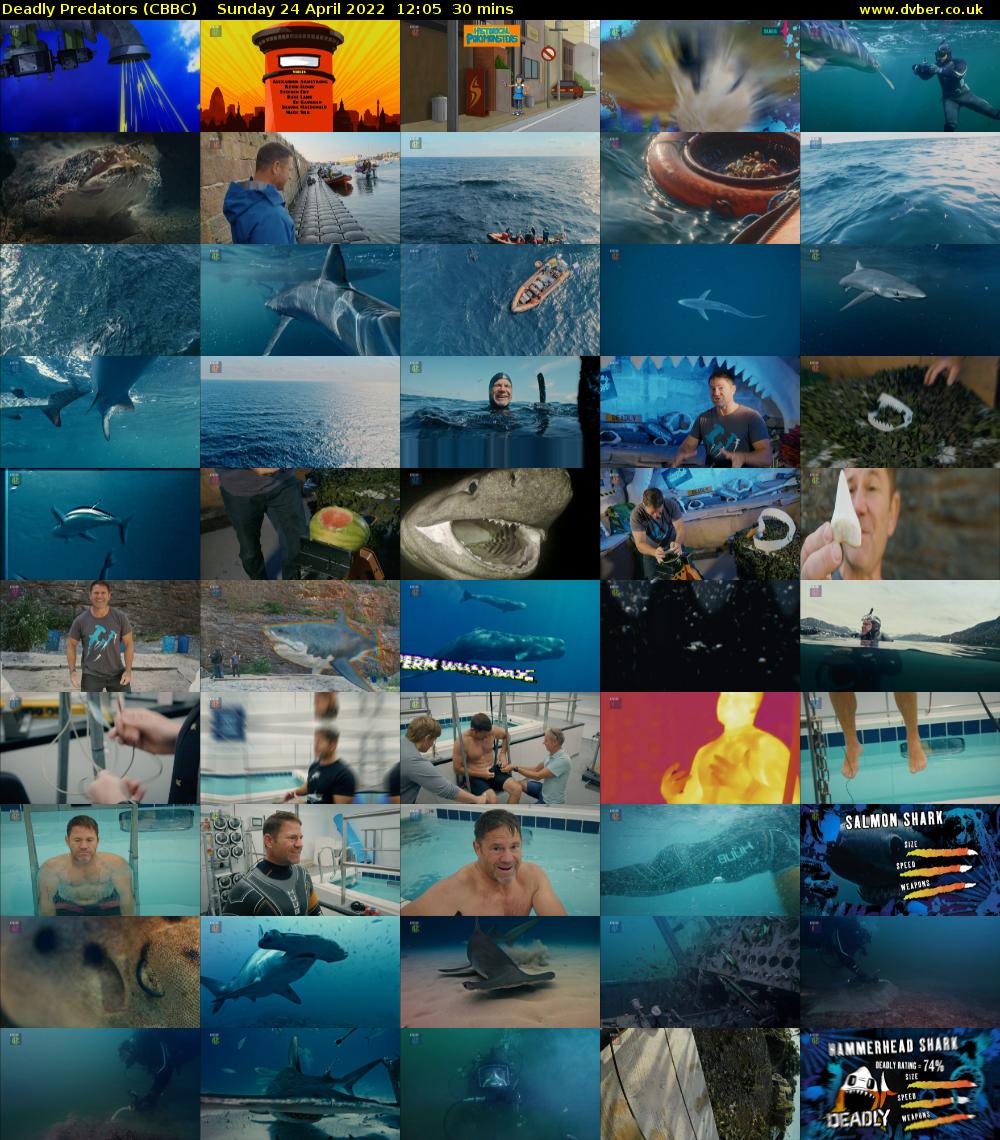 Deadly Predators (CBBC) - 2022-04-24-1205