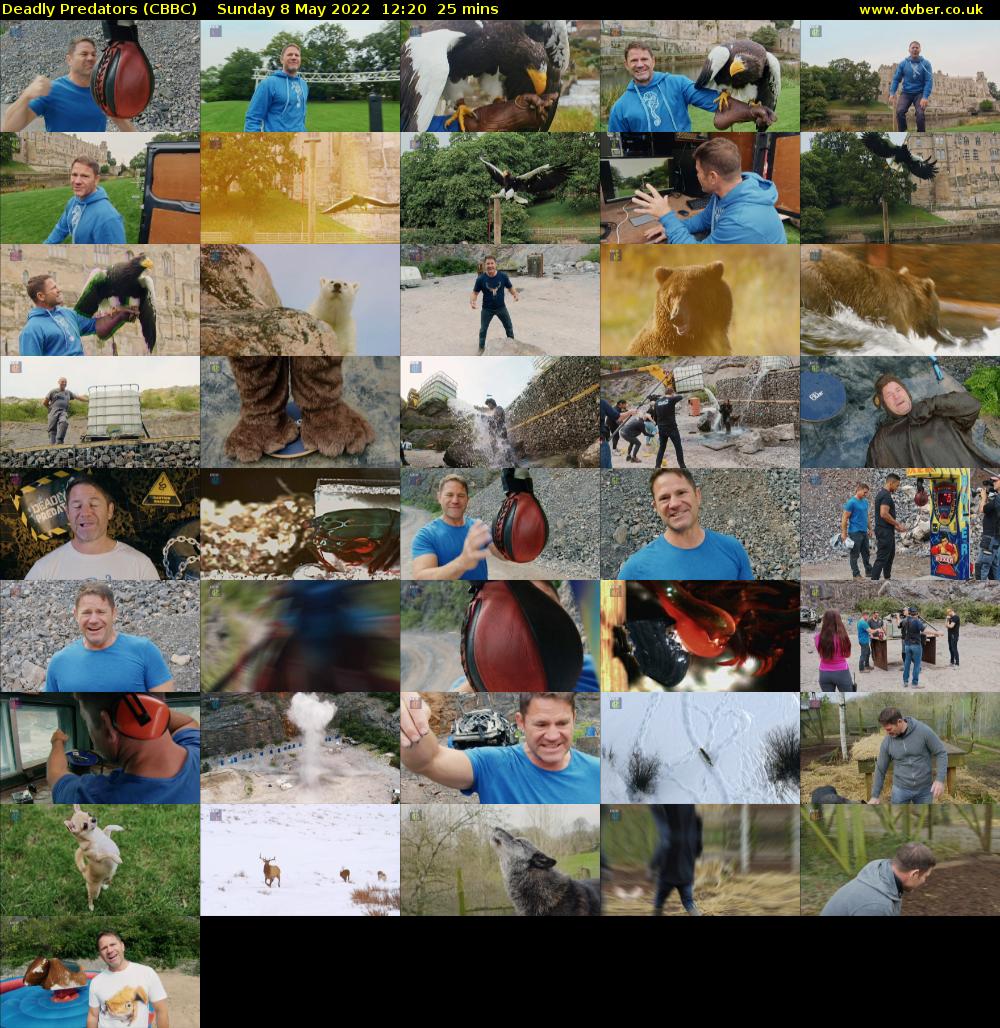 Deadly Predators (CBBC) - 2022-05-08-1220