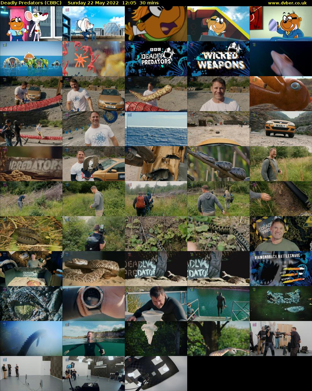 Deadly Predators (CBBC) - 2022-05-22-1205