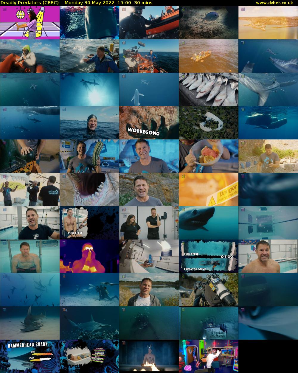 Deadly Predators (CBBC) - 2022-05-30-1500