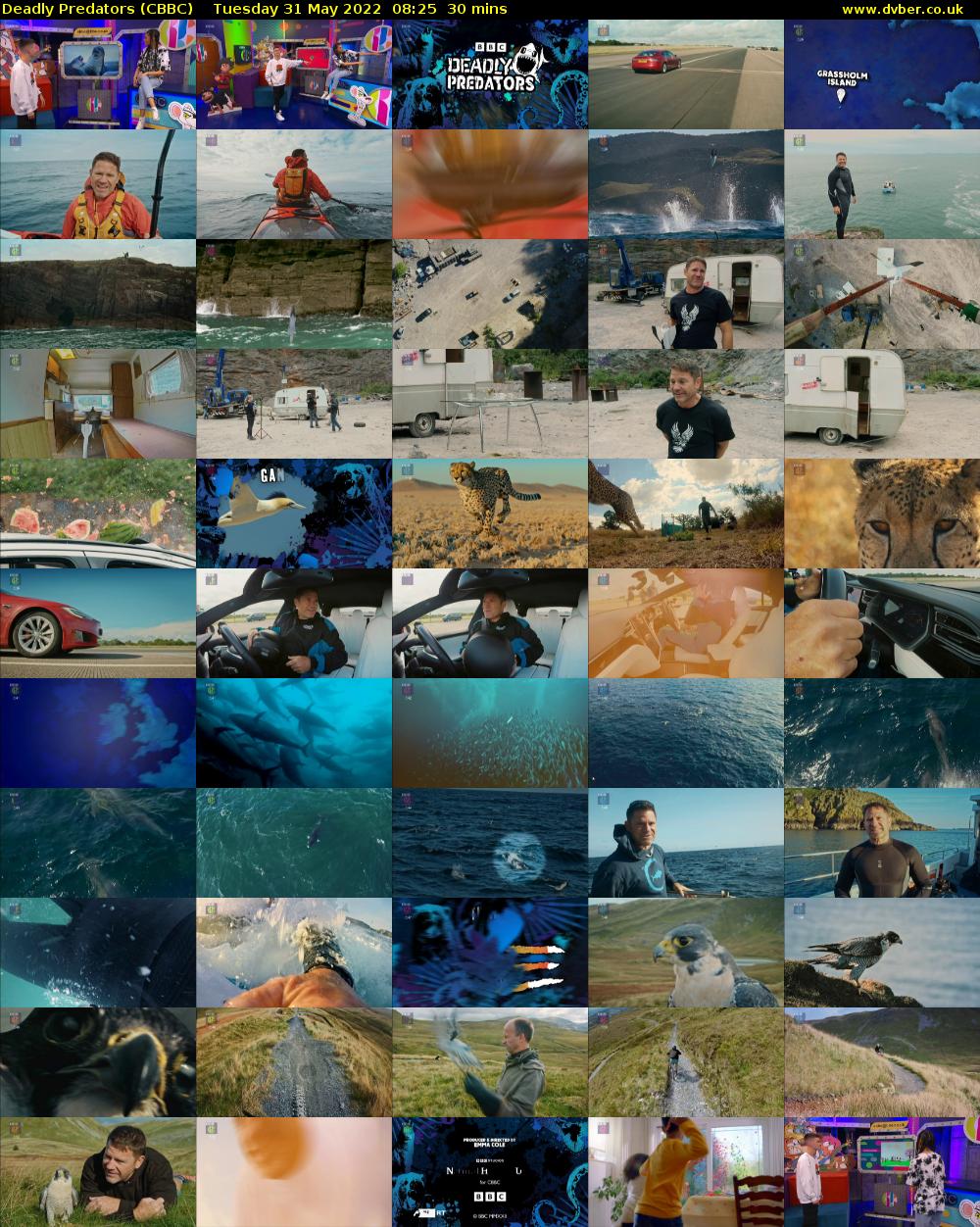 Deadly Predators (CBBC) - 2022-05-31-0825
