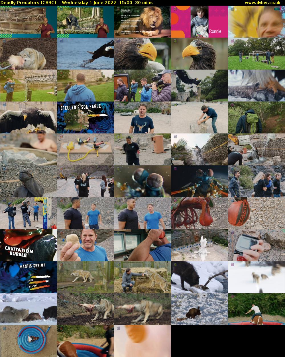 Deadly Predators (CBBC) - 2022-06-01-1500