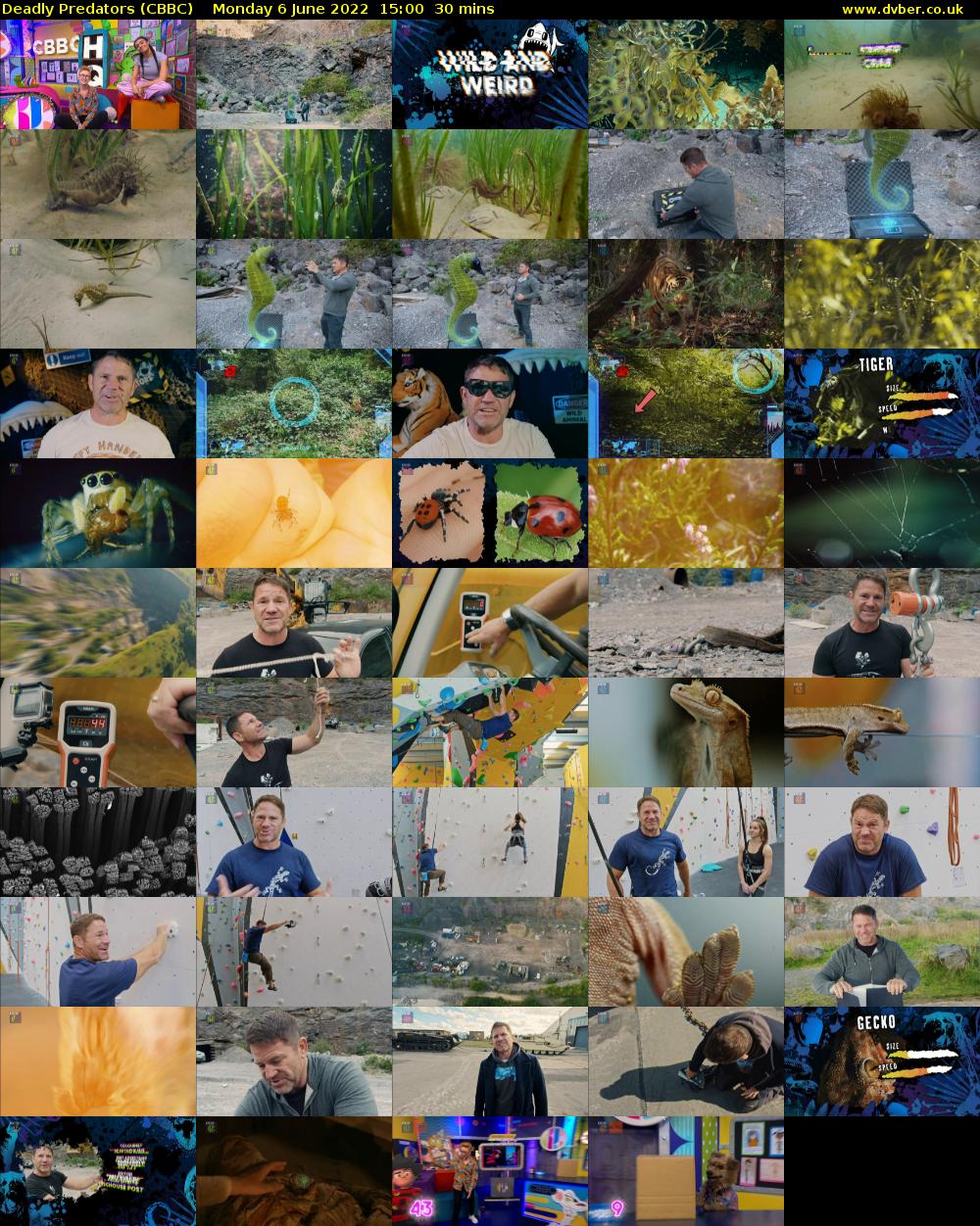 Deadly Predators (CBBC) - 2022-06-06-1500