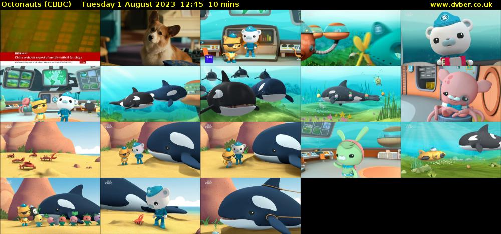 Octonauts (CBBC) - 2023-08-01-1245