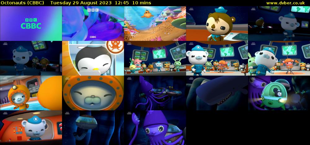 Octonauts (CBBC) - 2023-08-29-1245
