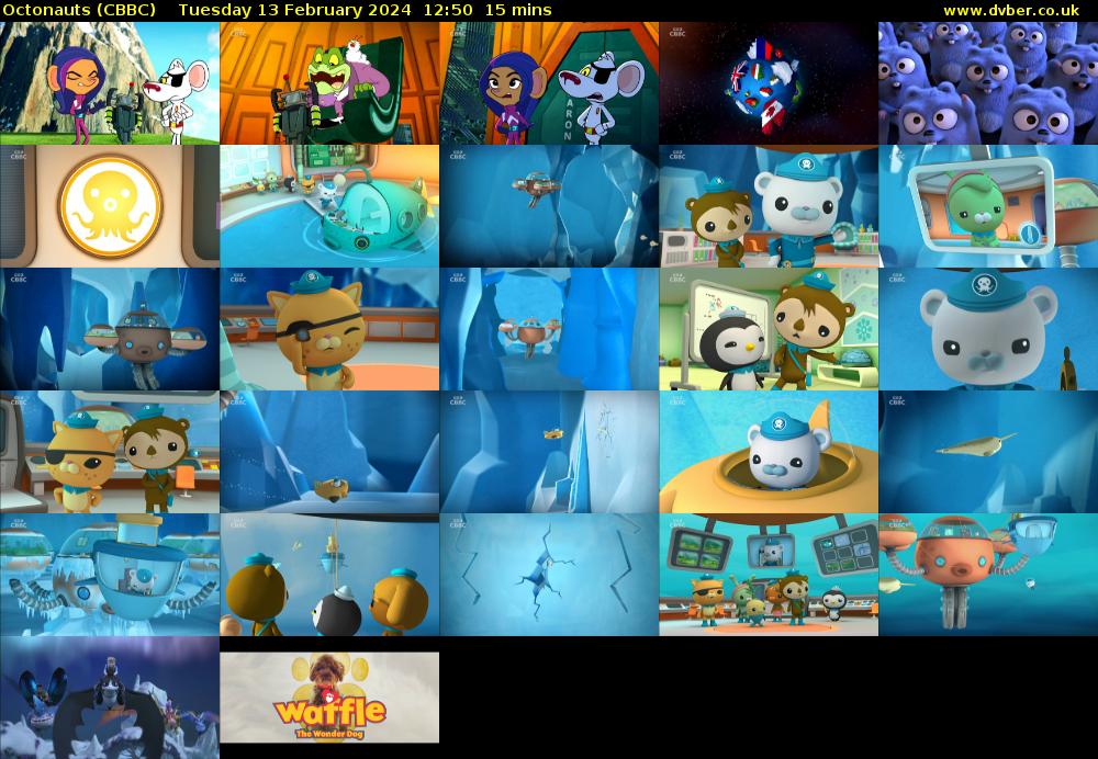 Octonauts (CBBC) - 2024-02-13-1250