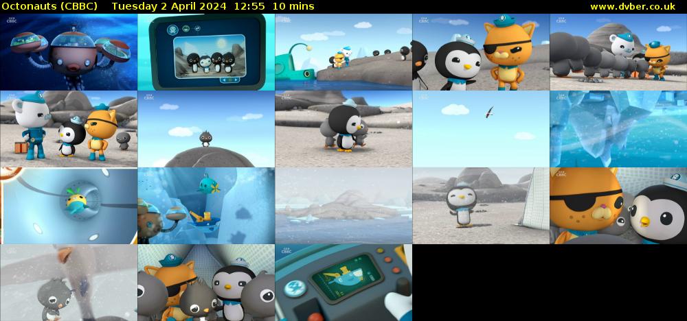 Octonauts (CBBC) - 2024-04-02-1255