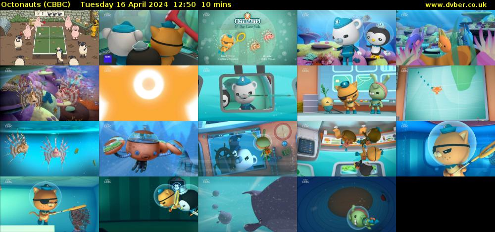 Octonauts (CBBC) - 2024-04-16-1250