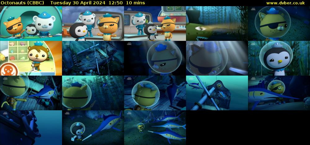Octonauts (CBBC) - 2024-04-30-1250
