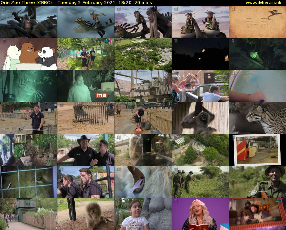 One Zoo Three (CBBC) - 2021-02-02-1820