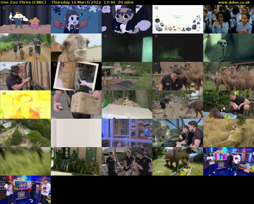 One Zoo Three (CBBC) - 2022-03-10-1740