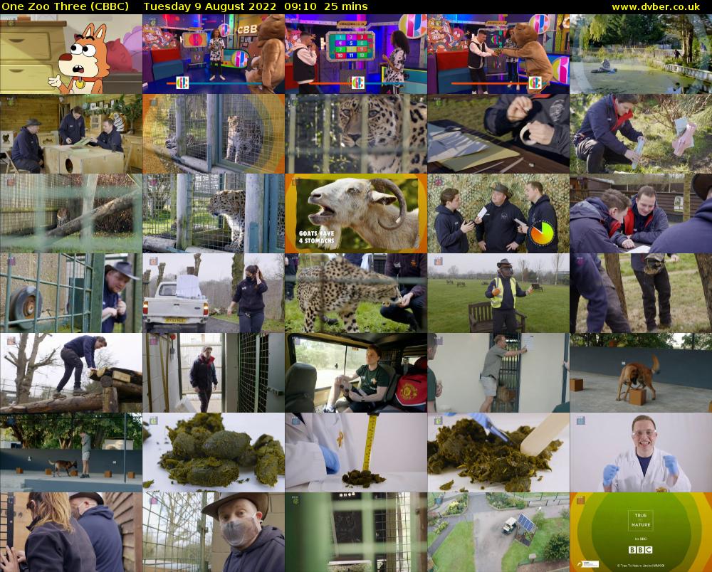 One Zoo Three (CBBC) - 2022-08-09-0910