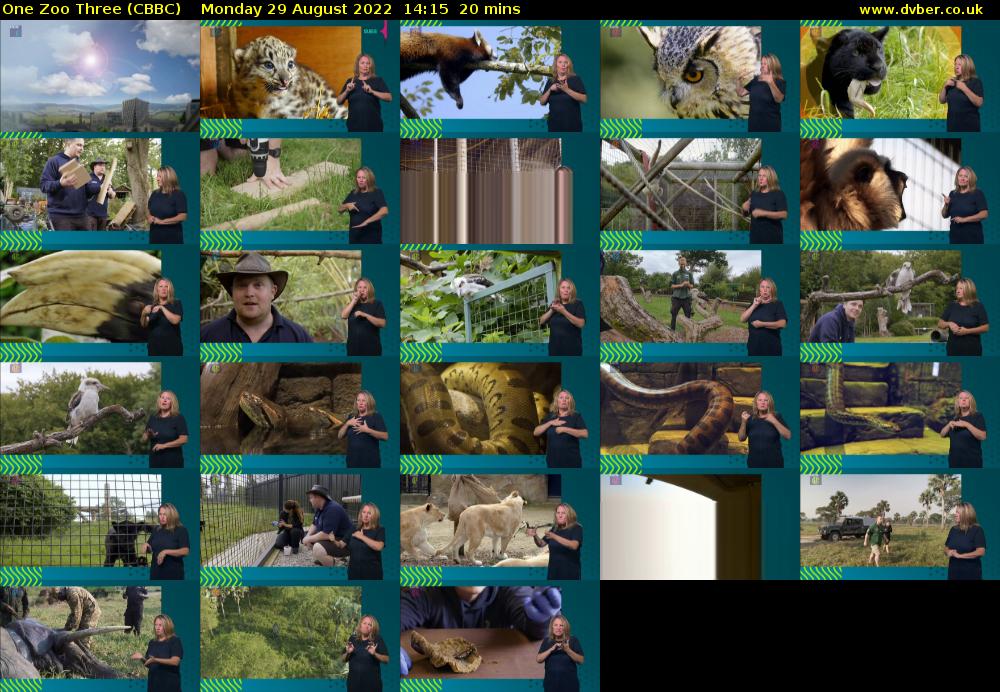 One Zoo Three (CBBC) - 2022-08-29-1415
